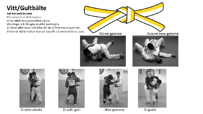 Gradering :: Saltsjö Judoklubb